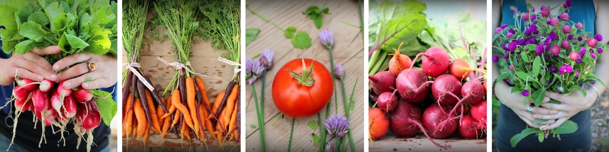 Our Produce – Amazing Heart Farm